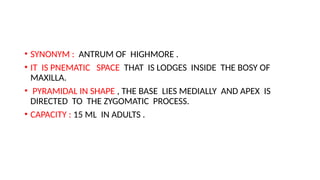 ANATOMY OF PARANASAL SINUS FULL PPT.pptx