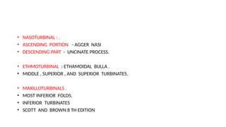 ANATOMY OF PARANASAL SINUS FULL PPT.pptx