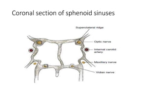 Anatomy of para nasal sinuses, management of sinusitis.pptx