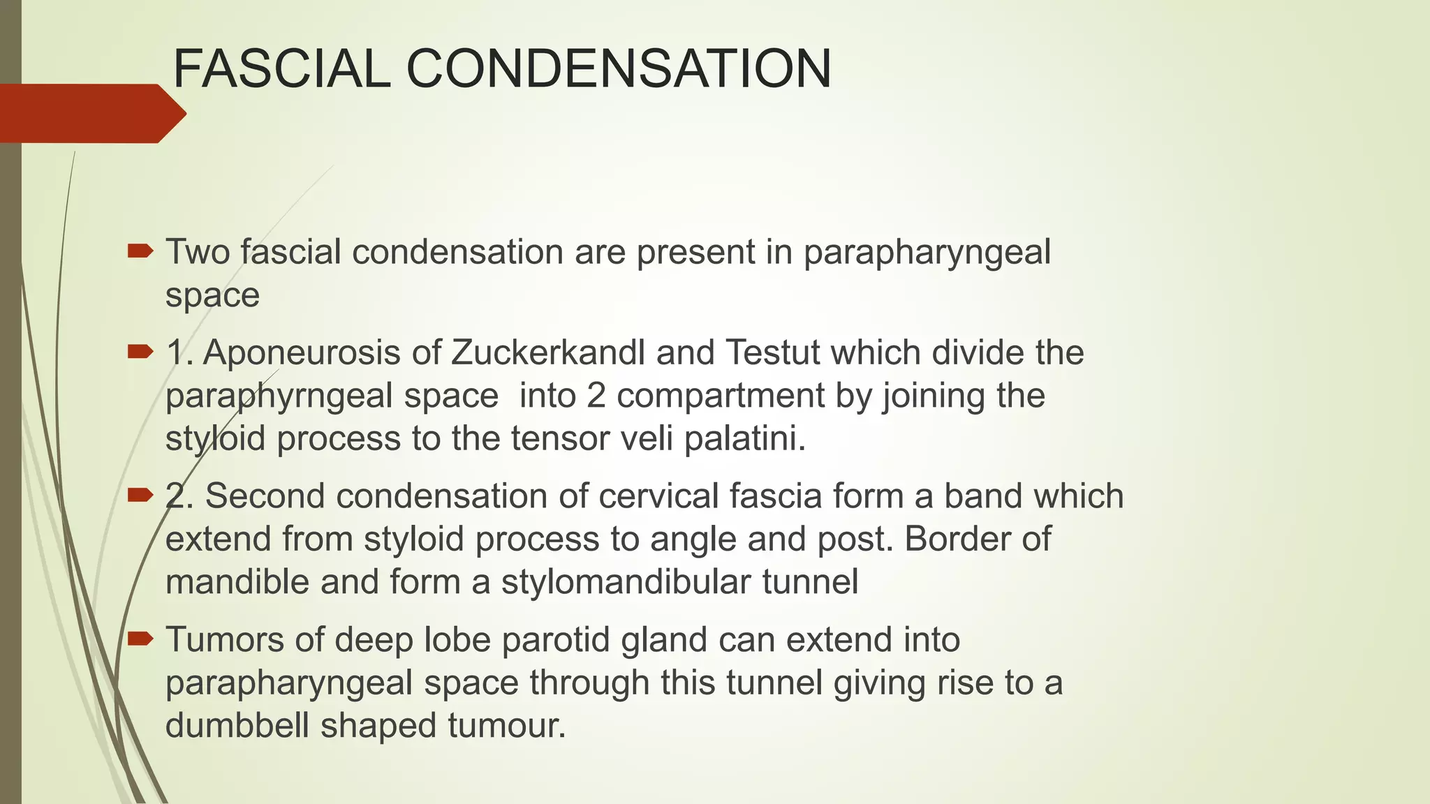 Anatomy of parapharyngeal space and its tumours | PPTX
