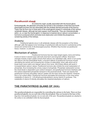 Anatomy of parathyroid of dog | PDF