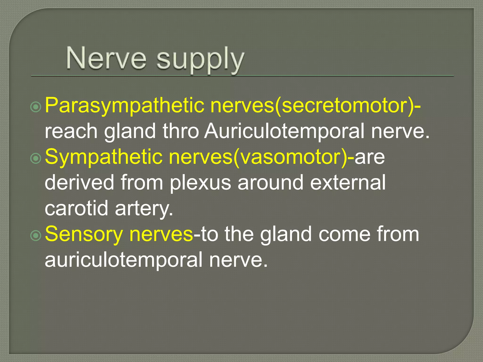 Anatomy of parotid gland | PPTX