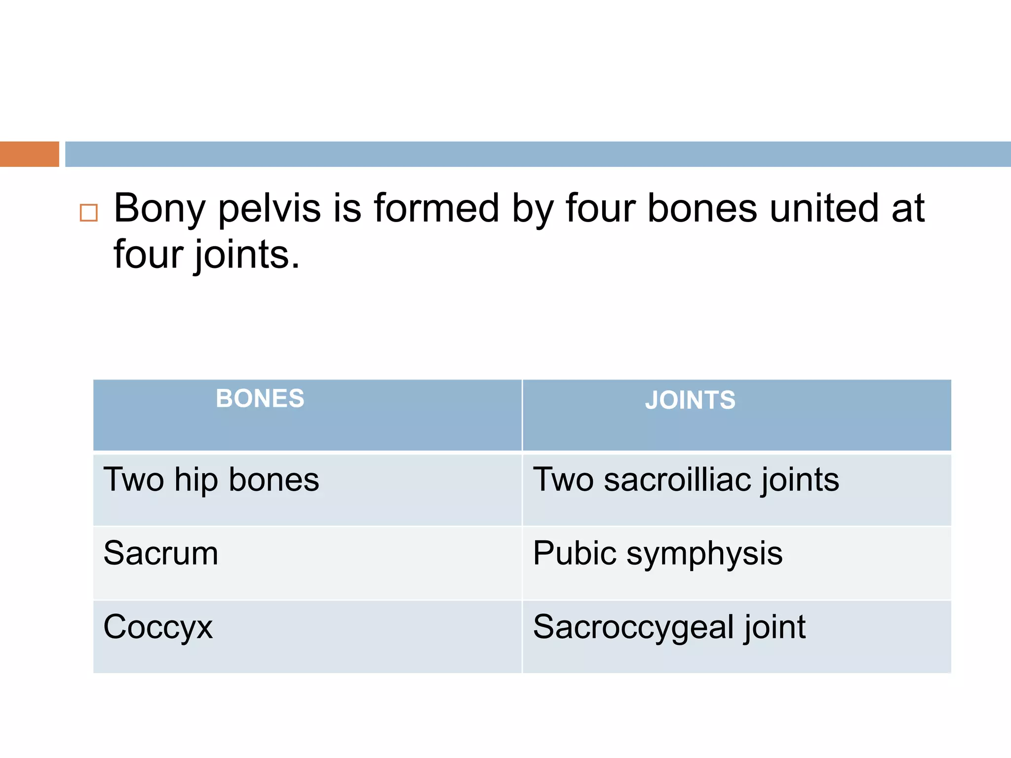 Anatomy of pelvic floor,perineum,perineal pouches and its fascia | PPTX