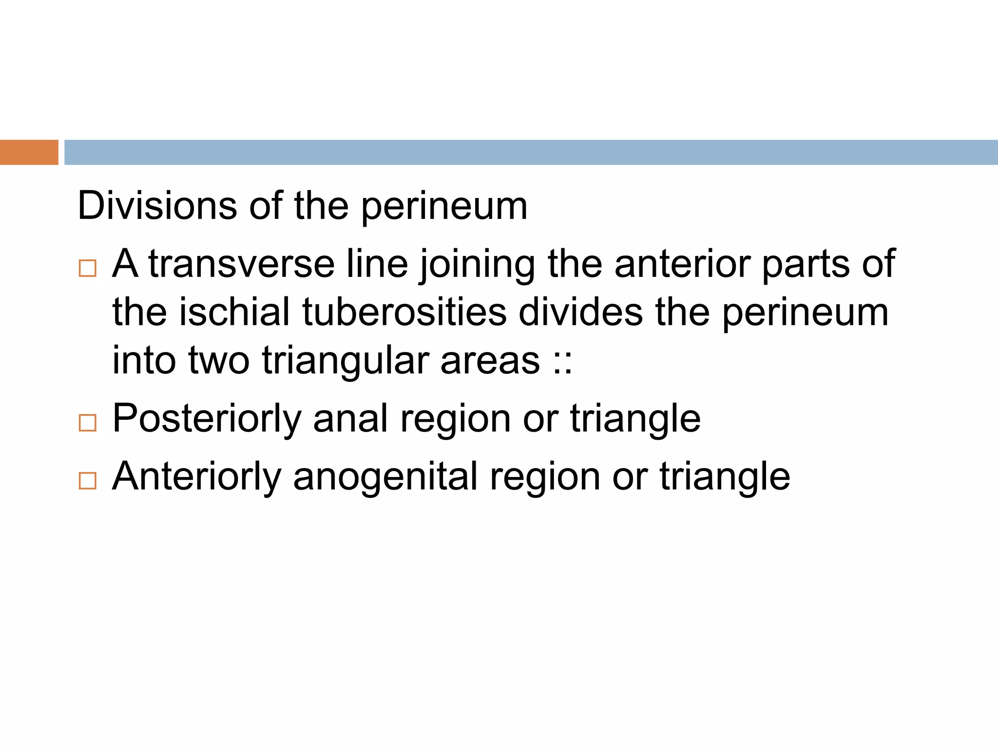Anatomy of pelvic floor,perineum,perineal pouches and its fascia | PPTX