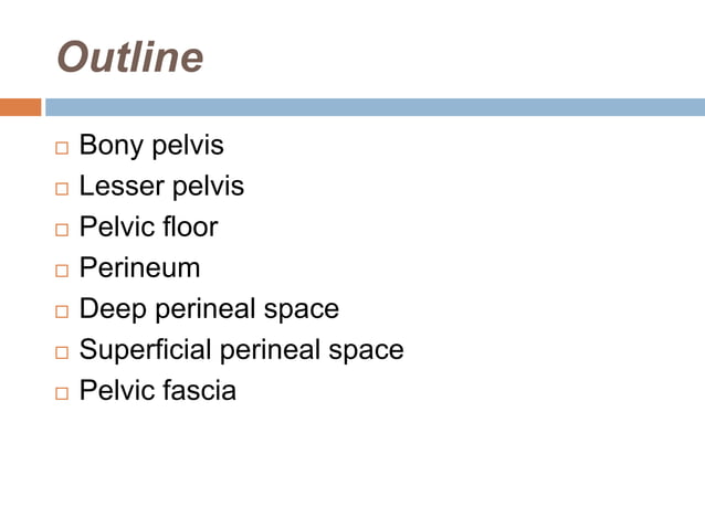 Anatomy of pelvic floor,perineum,perineal pouches and its fascia | PPTX