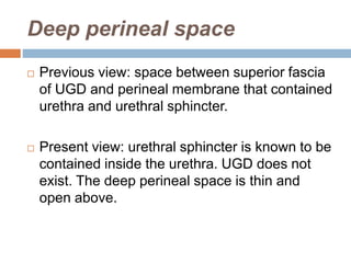 Anatomy of pelvic floor,perineum,perineal pouches and its fascia | PPTX