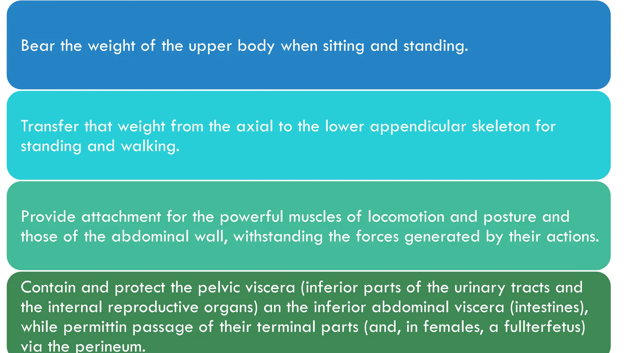 anatomy of pelvis, perineum and pelvic diaphragm.pptx