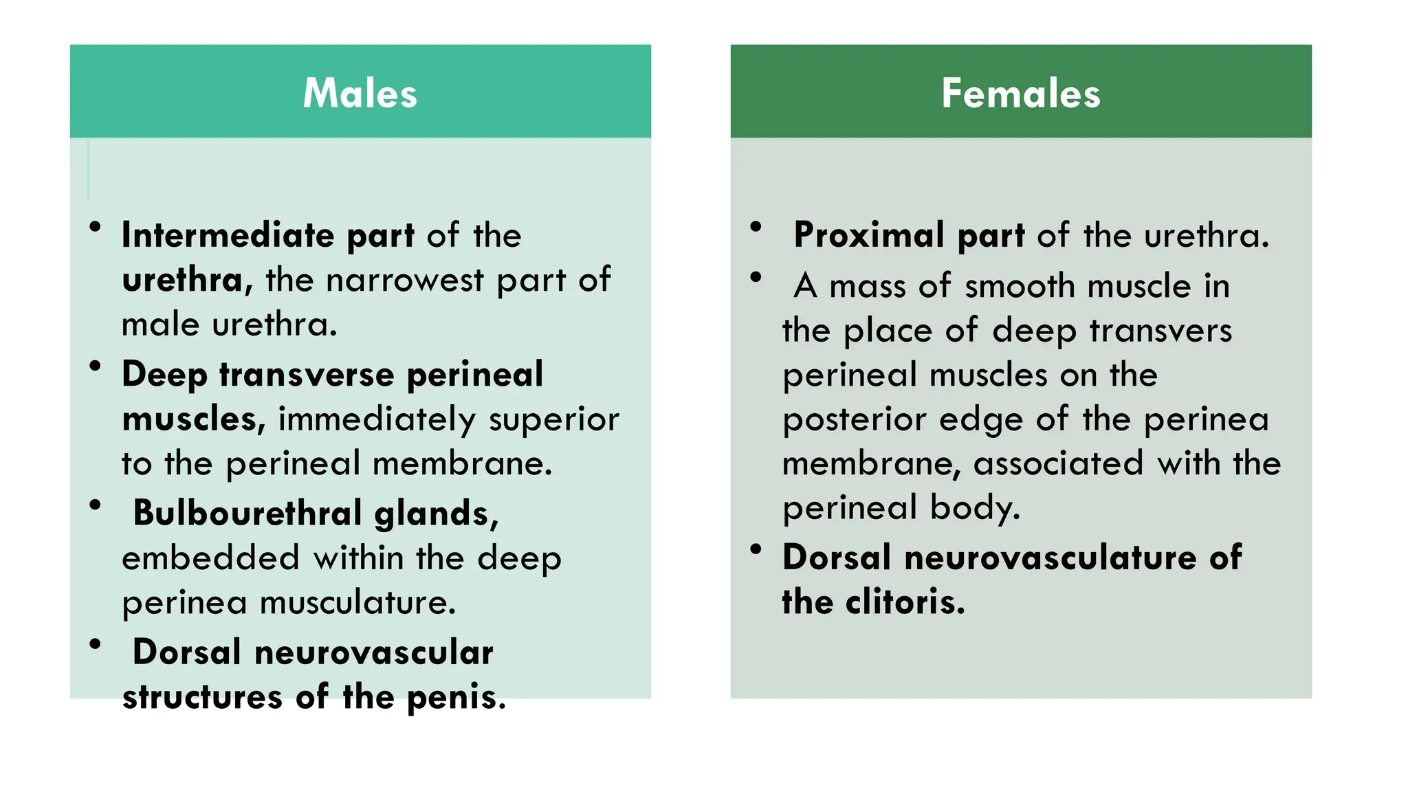 anatomy of pelvis, perineum and pelvic diaphragm.pptx