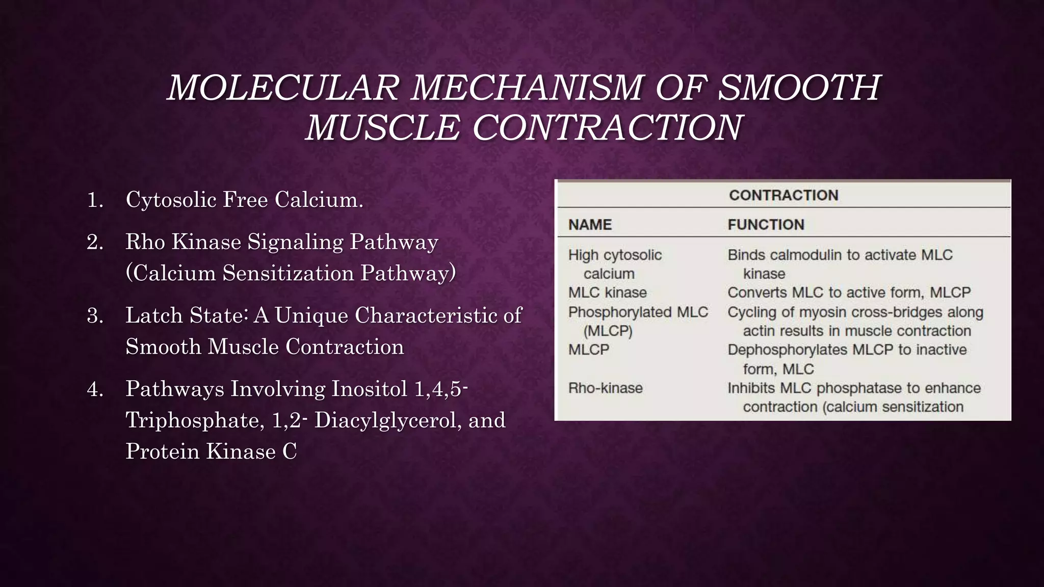 Anatomy of penis and physiology of erection | PPTX