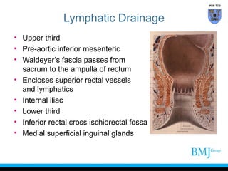Anatomy of perineum | PPT