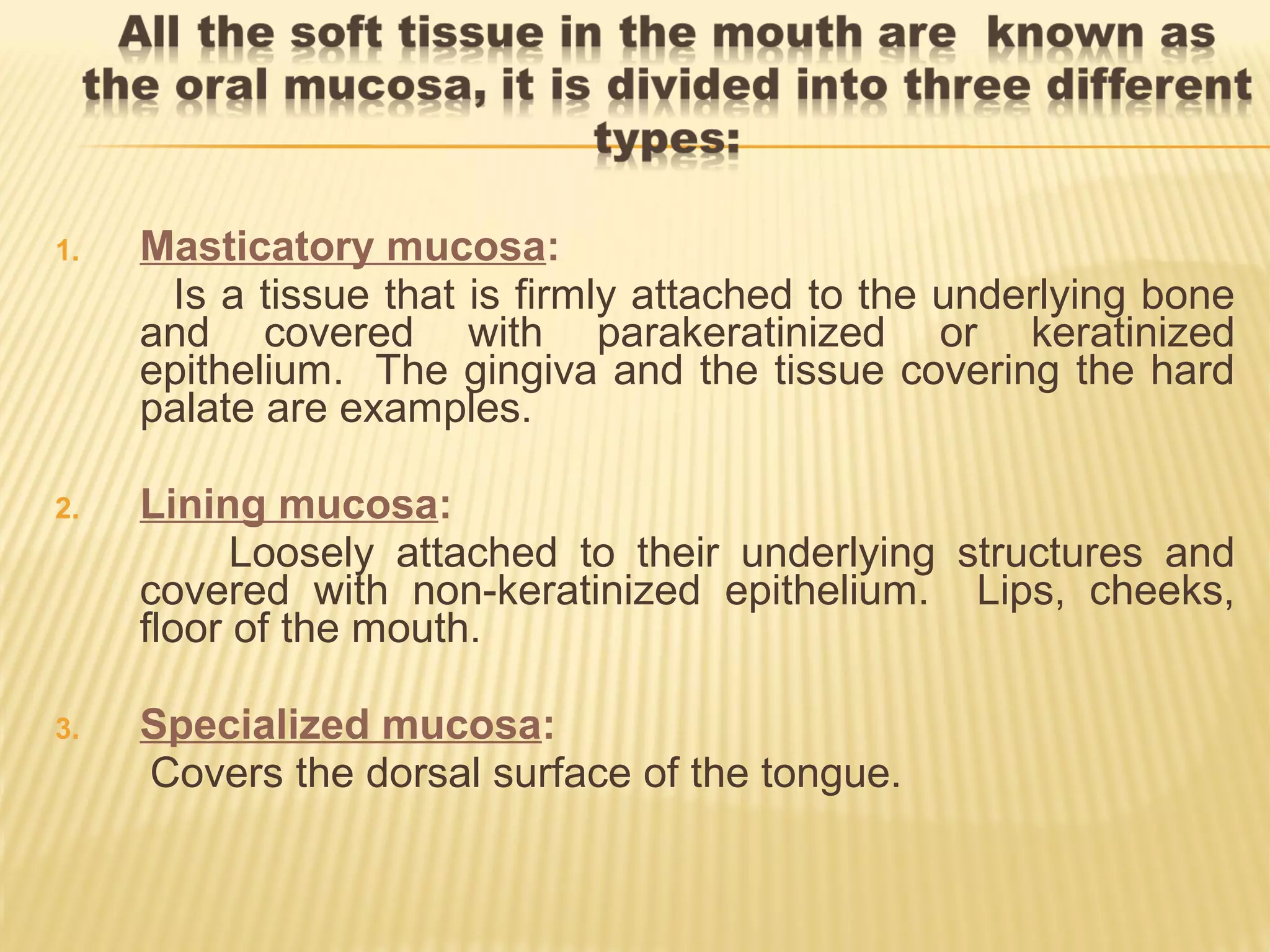 Anatomy of the Periodontium | PPT