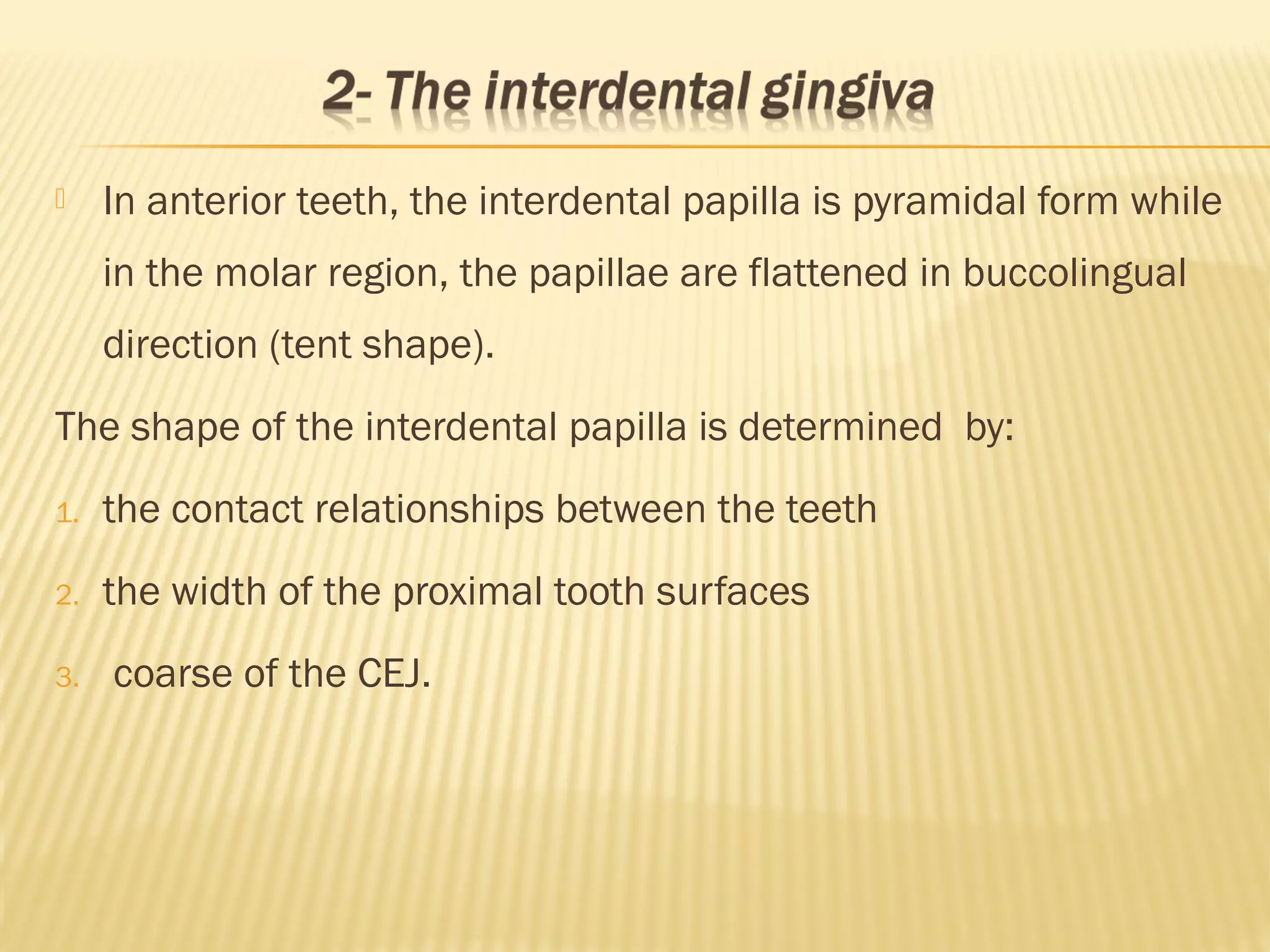 Anatomy of the Periodontium | PPT