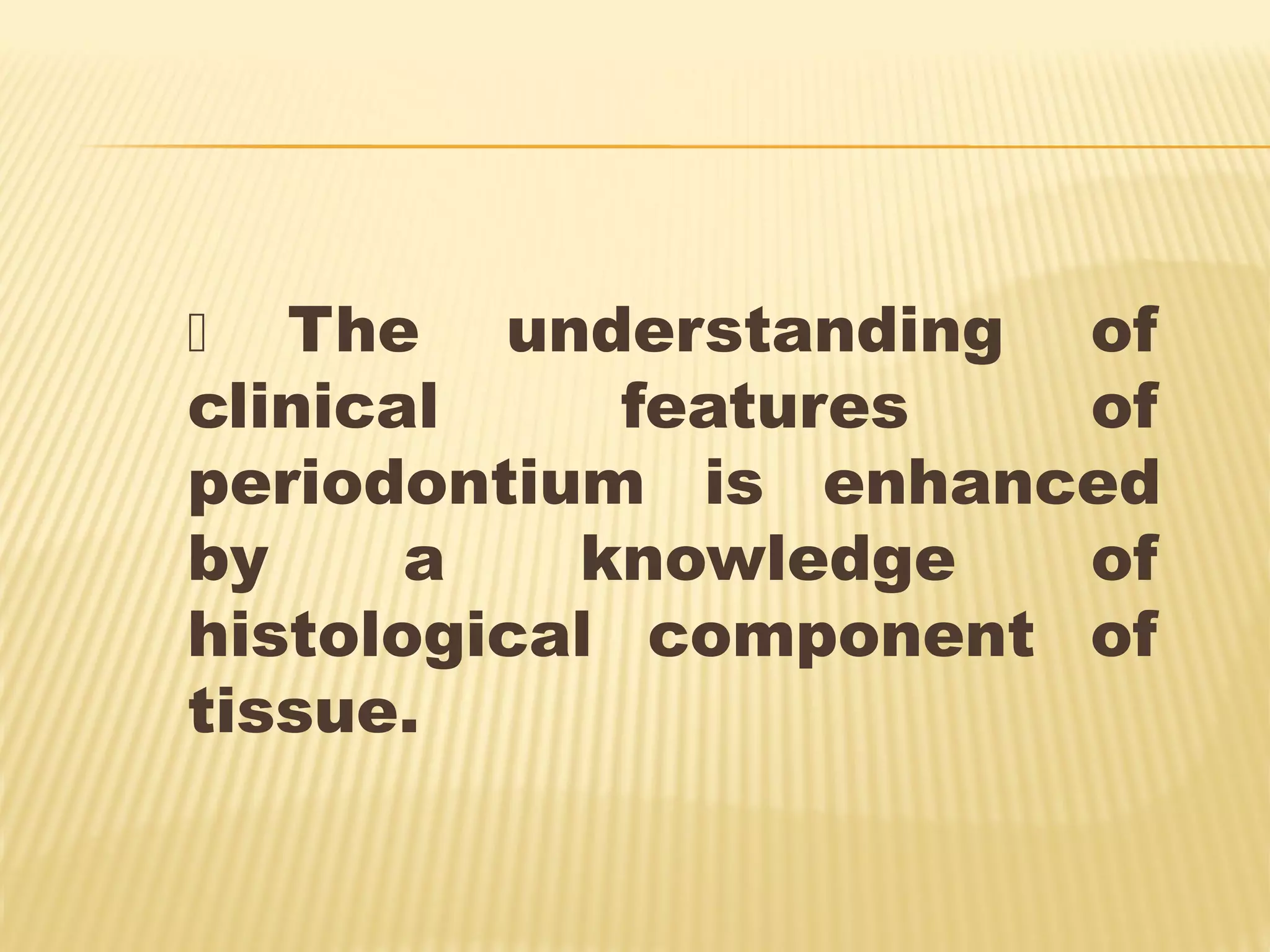 Anatomy of the Periodontium | PPT