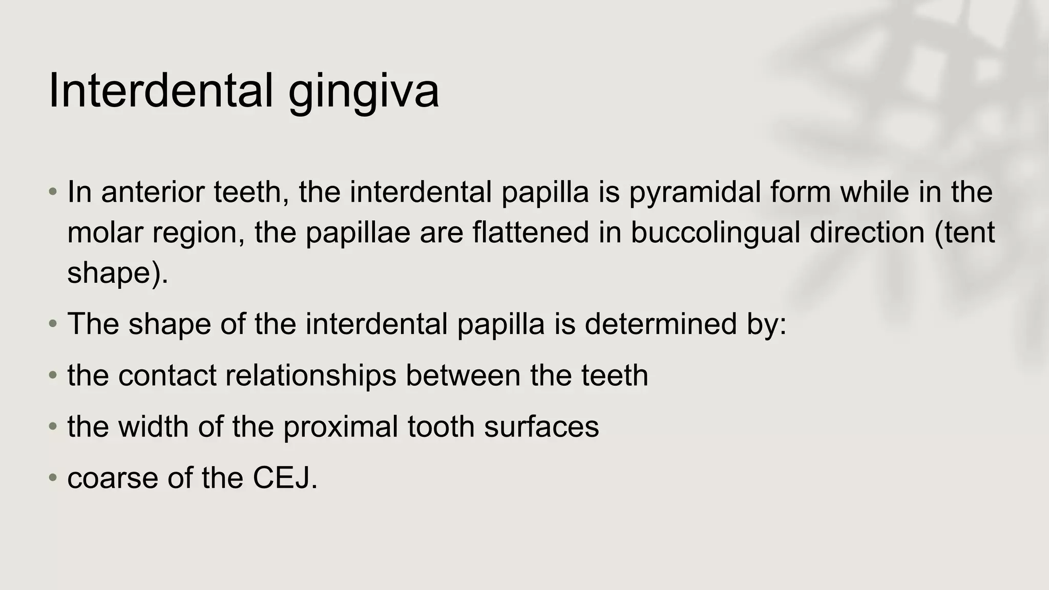Anatomy of periodontium | PPTX