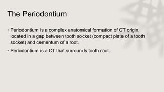 Anatomy of periodontium | PPTX
