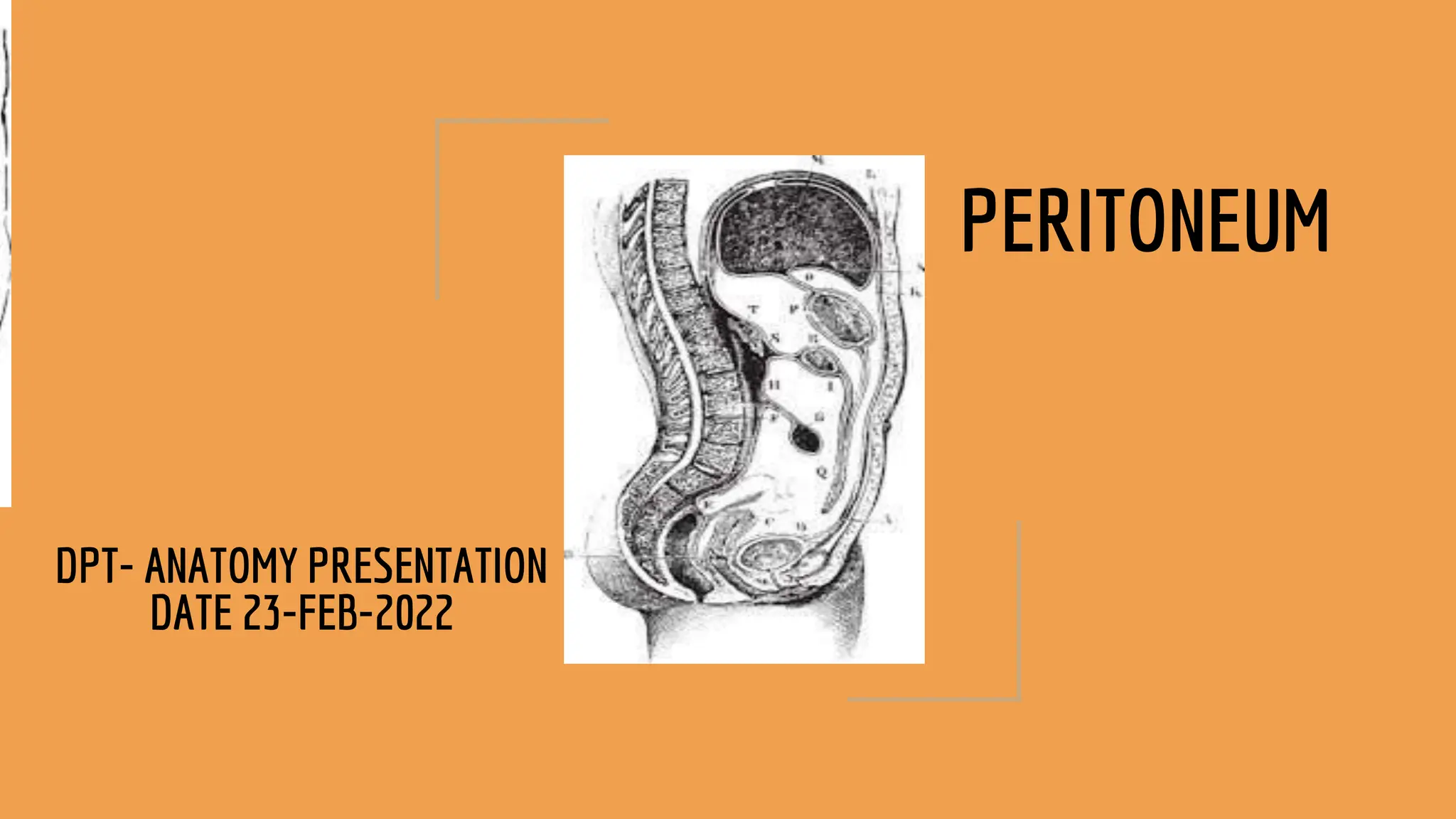 EXPLANATION OF ANATOMY OF PERITONEAL CAVITY.pptx