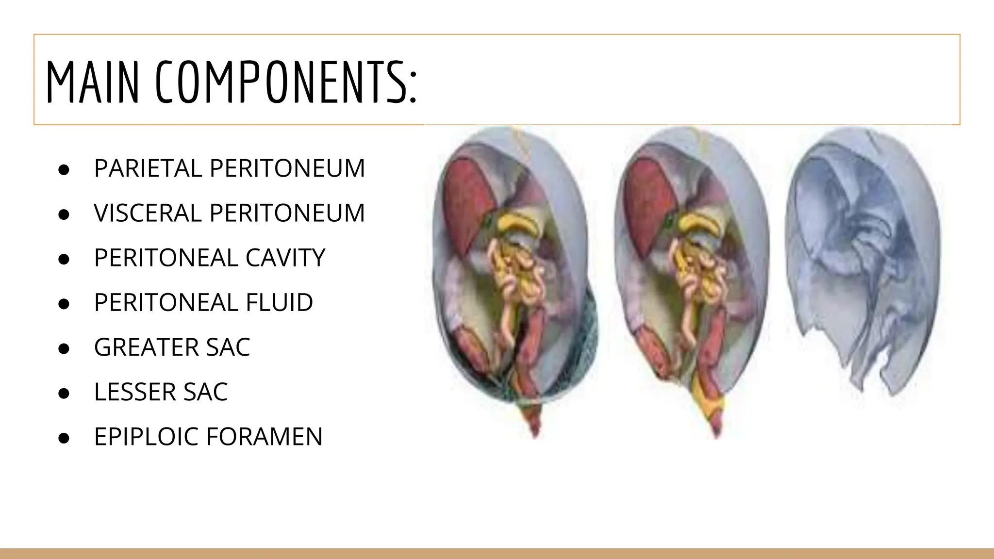 EXPLANATION OF ANATOMY OF PERITONEAL CAVITY.pptx