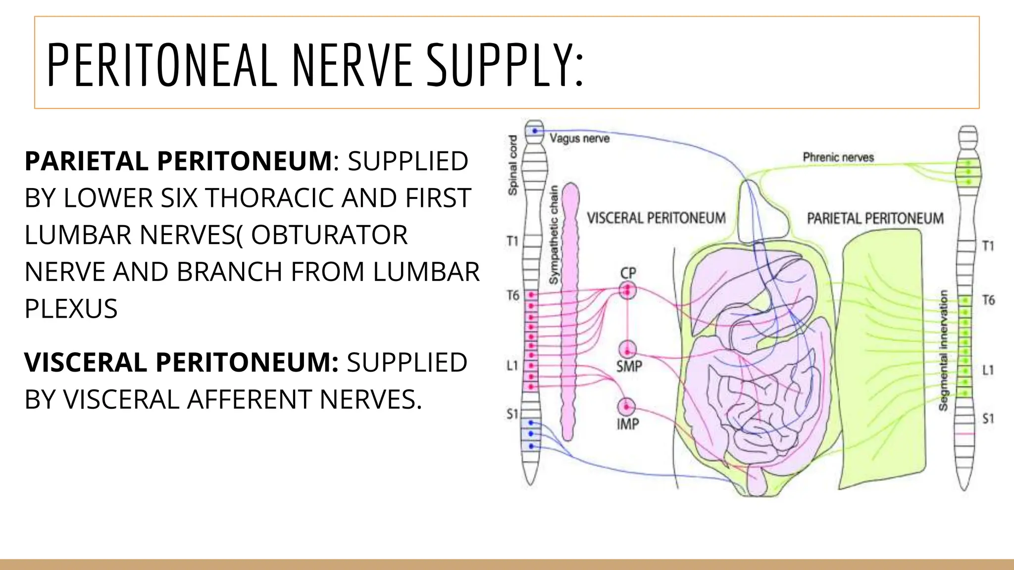 EXPLANATION OF ANATOMY OF PERITONEAL CAVITY.pptx