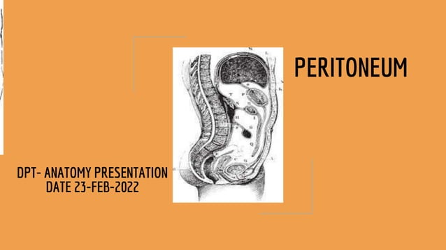 EXPLANATION OF ANATOMY OF PERITONEAL CAVITY.pptx
