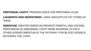 EXPLANATION OF ANATOMY OF PERITONEAL CAVITY.pptx