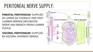 EXPLANATION OF ANATOMY OF PERITONEAL CAVITY.pptx