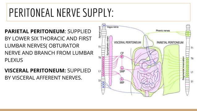 EXPLANATION OF ANATOMY OF PERITONEAL CAVITY.pptx
