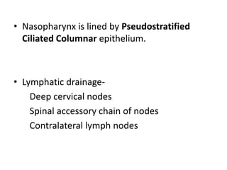 Anatomyofpharynx 120310220054-phpapp02 | PPT