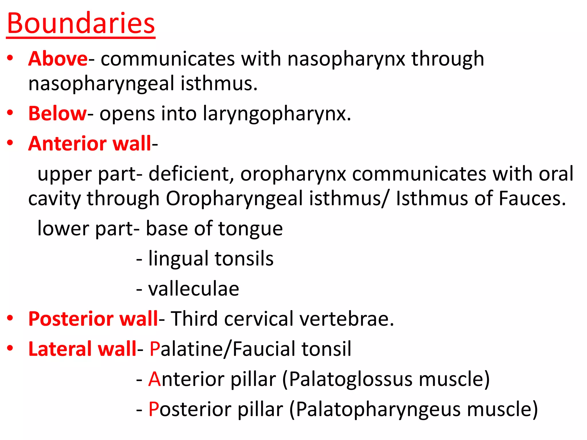 Anatomy of pharynx | PPTX