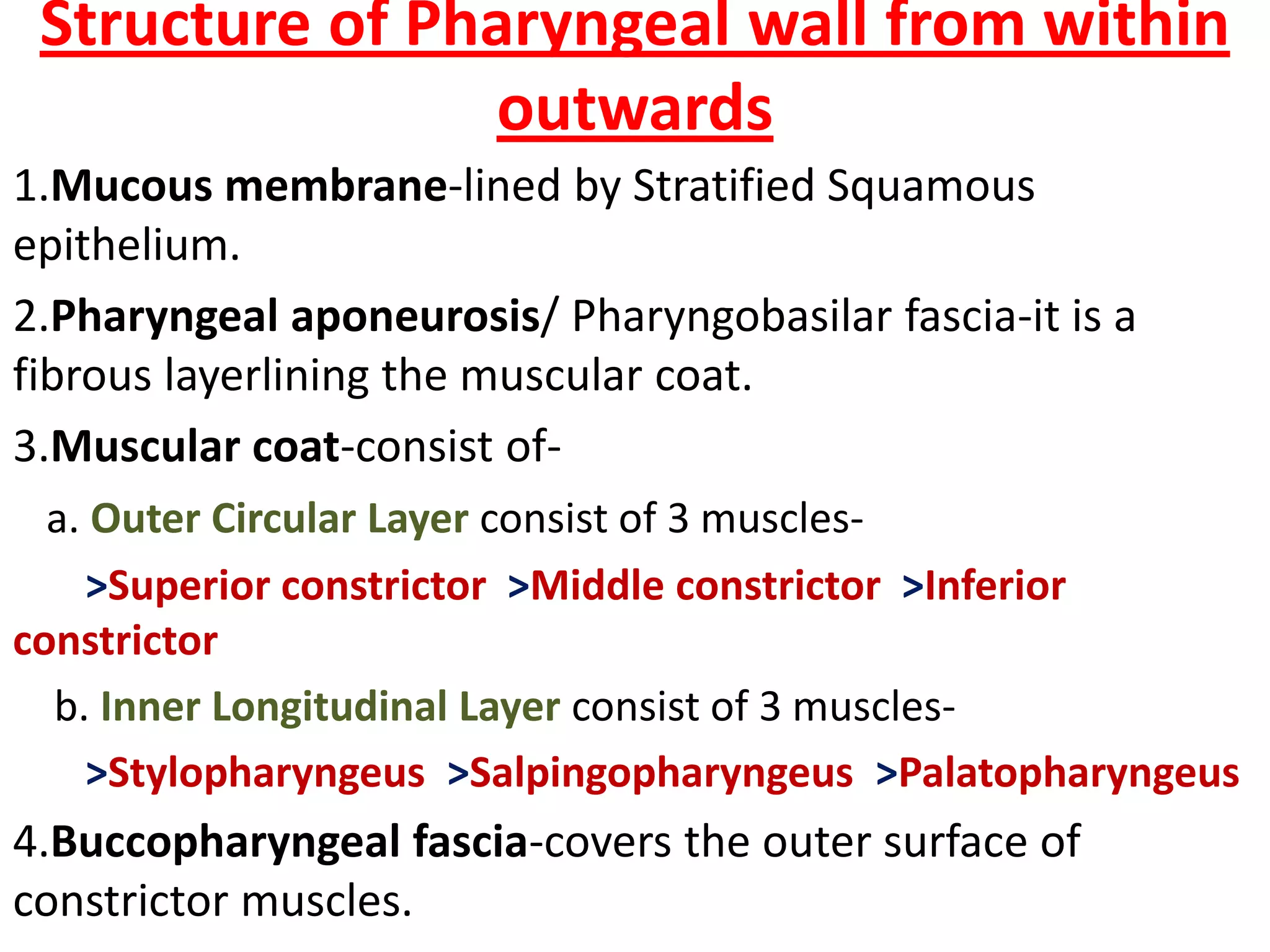 Anatomy of pharynx | PPTX