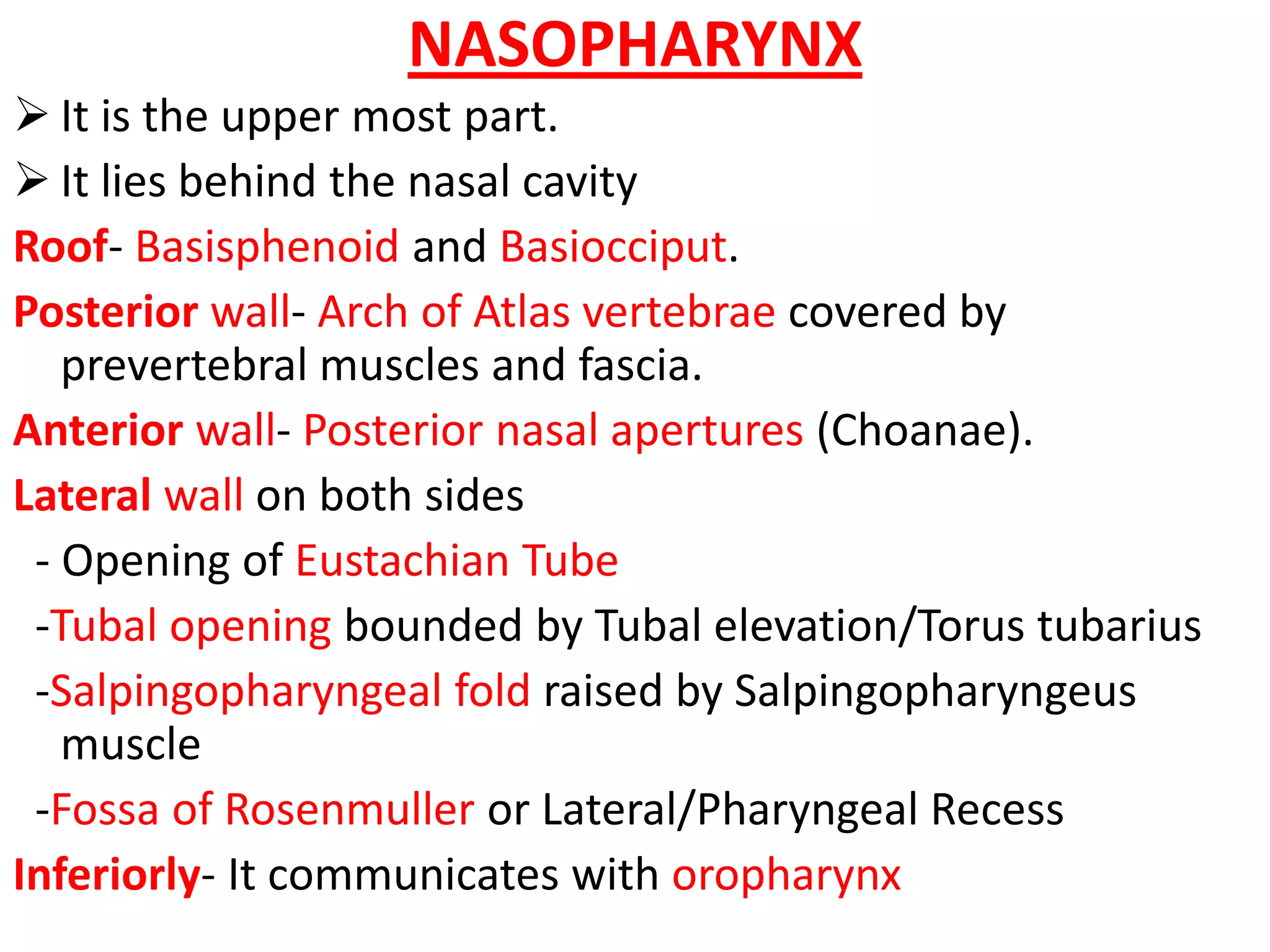 Anatomy of pharynx | PPTX
