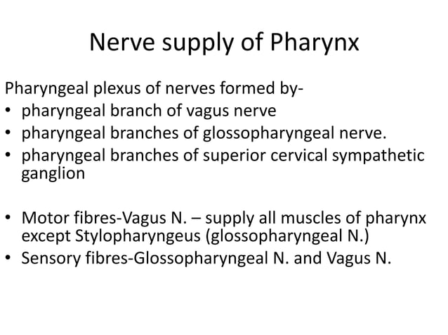 Anatomy of pharynx | PPTX