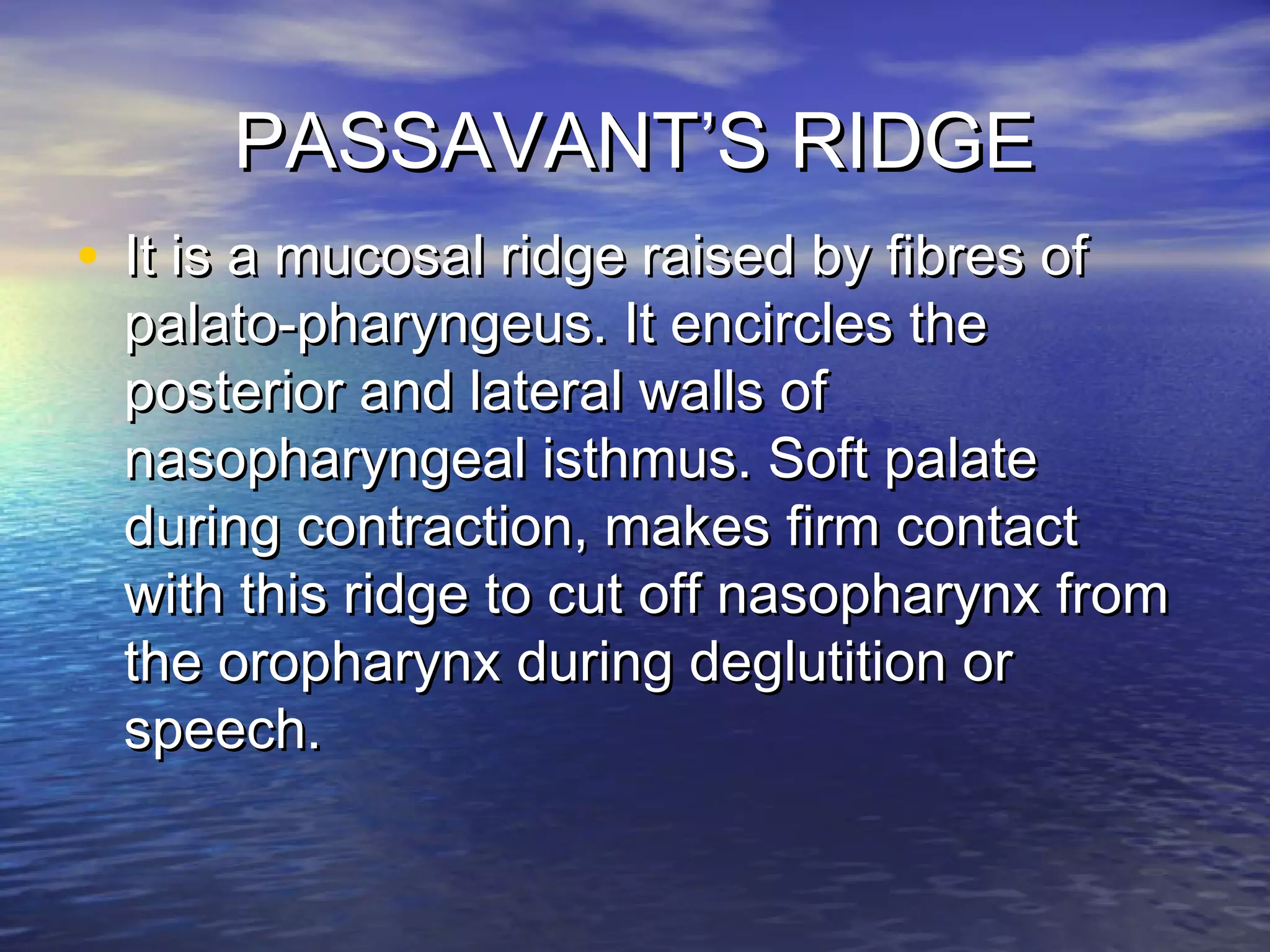 Anatomy of pharynx | PPT