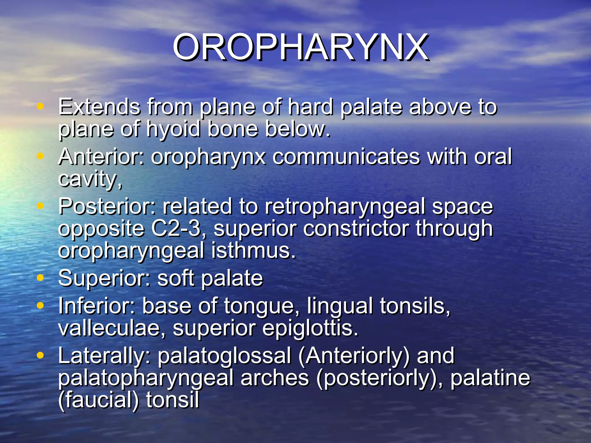 Anatomy of pharynx | PPT