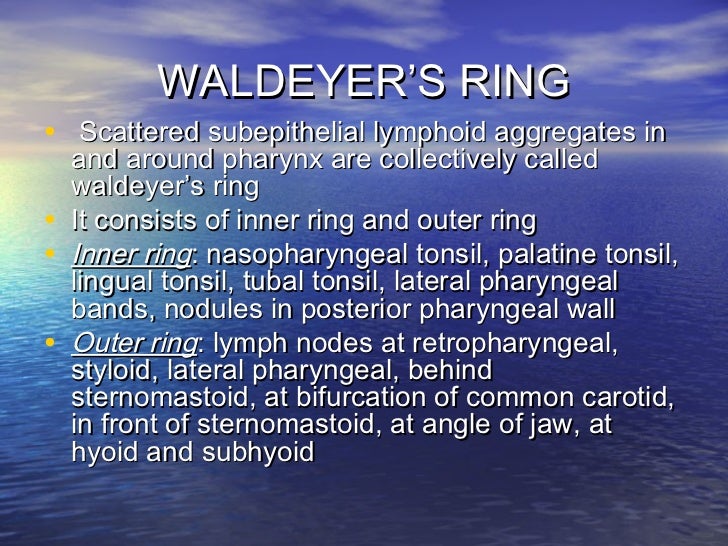 Waldeyers Ring Diagram