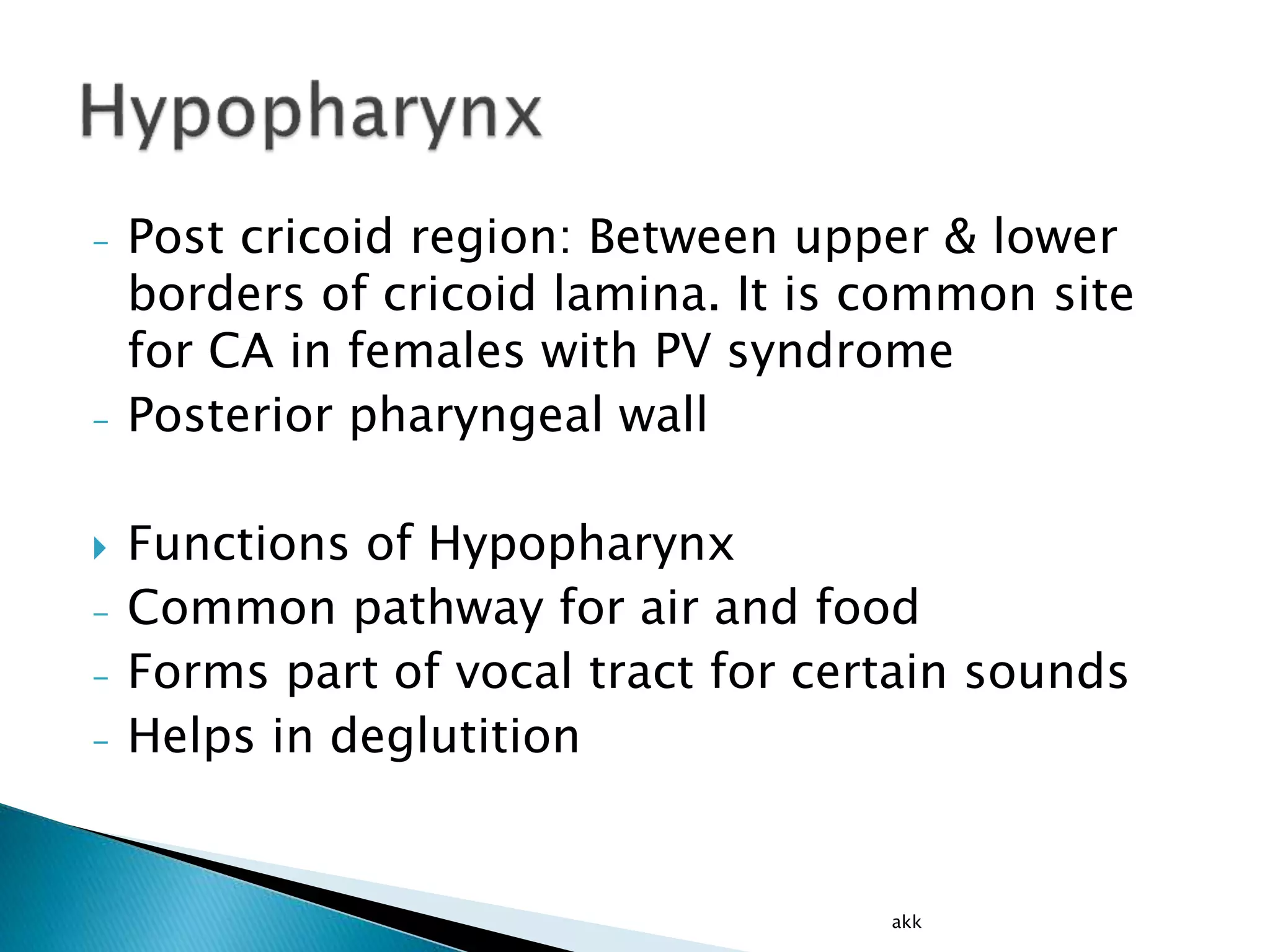 Anatomy of Pharynx | PPTX