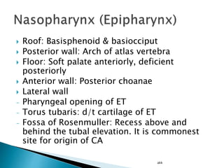 Anatomy of Pharynx | PPTX | Ear, Nose and Throat Conditions | Diseases ...