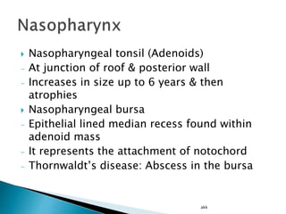 Anatomy of Pharynx | PPTX | Ear, Nose and Throat Conditions | Diseases ...