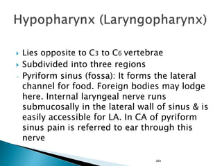 Anatomy of Pharynx | PPTX | Ear, Nose and Throat Conditions | Diseases ...