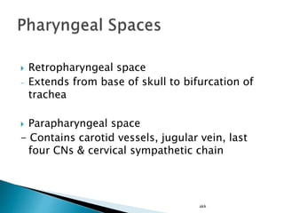 Anatomy of Pharynx | PPTX | Ear, Nose and Throat Conditions | Diseases ...