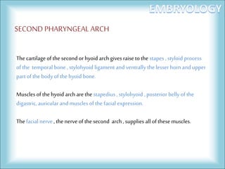 Anatomy of pharynx | PPTX