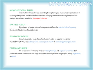 Anatomy of pharynx | PPTX