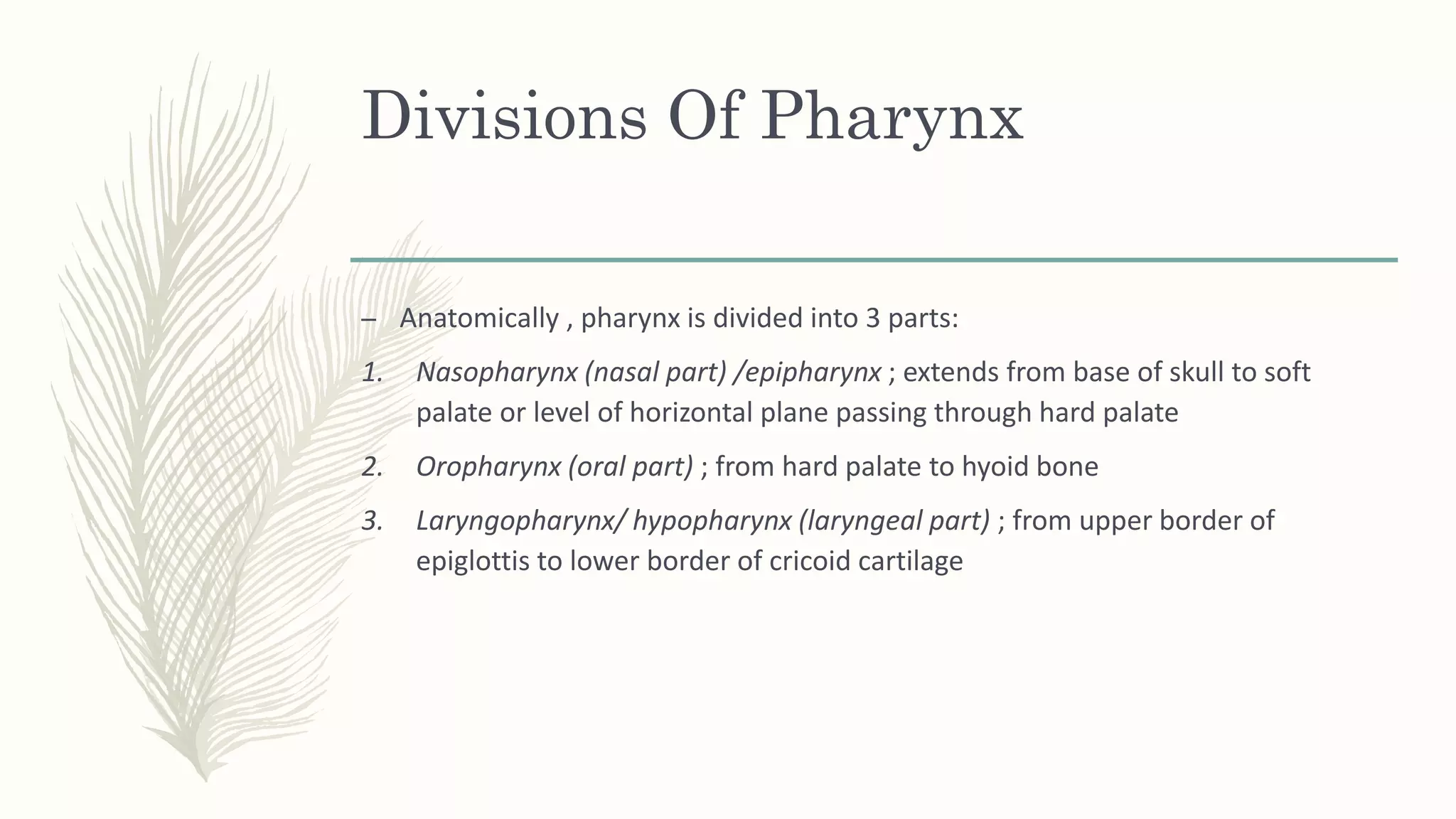 Anatomy of pharynx | PPTX