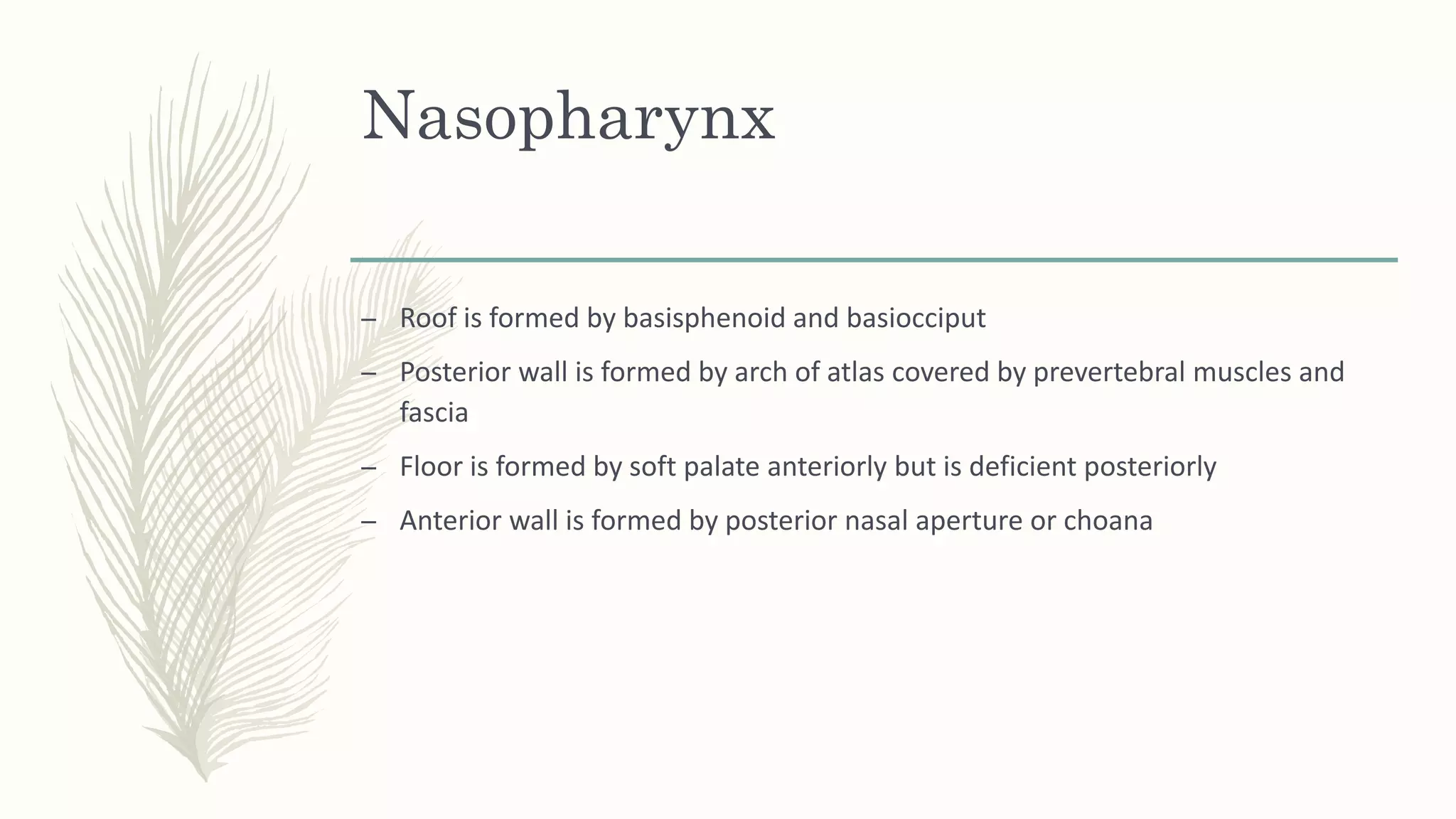 Anatomy of pharynx | PPTX