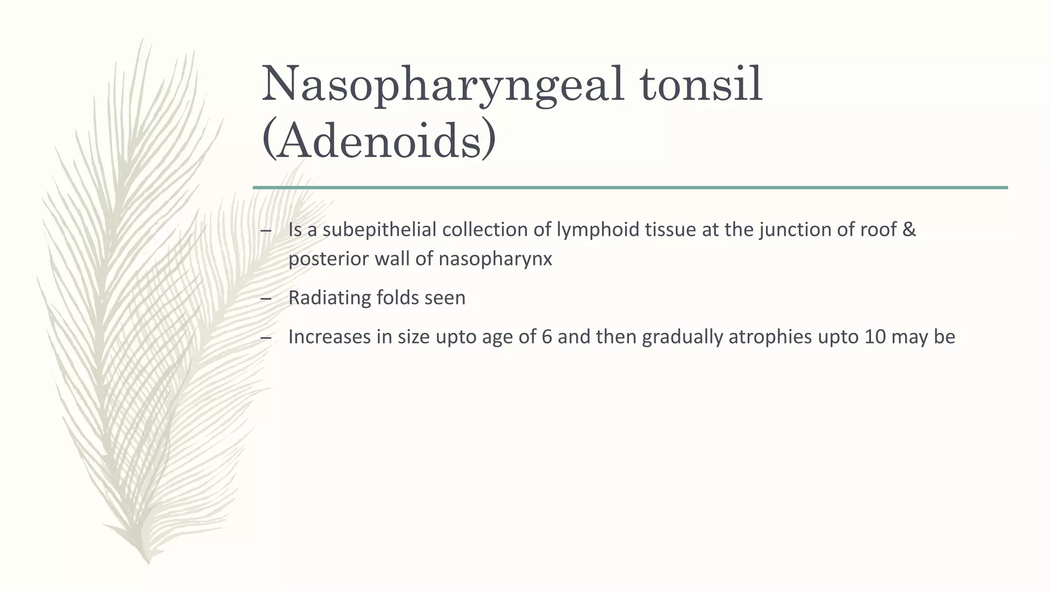 Anatomy of pharynx | PPTX
