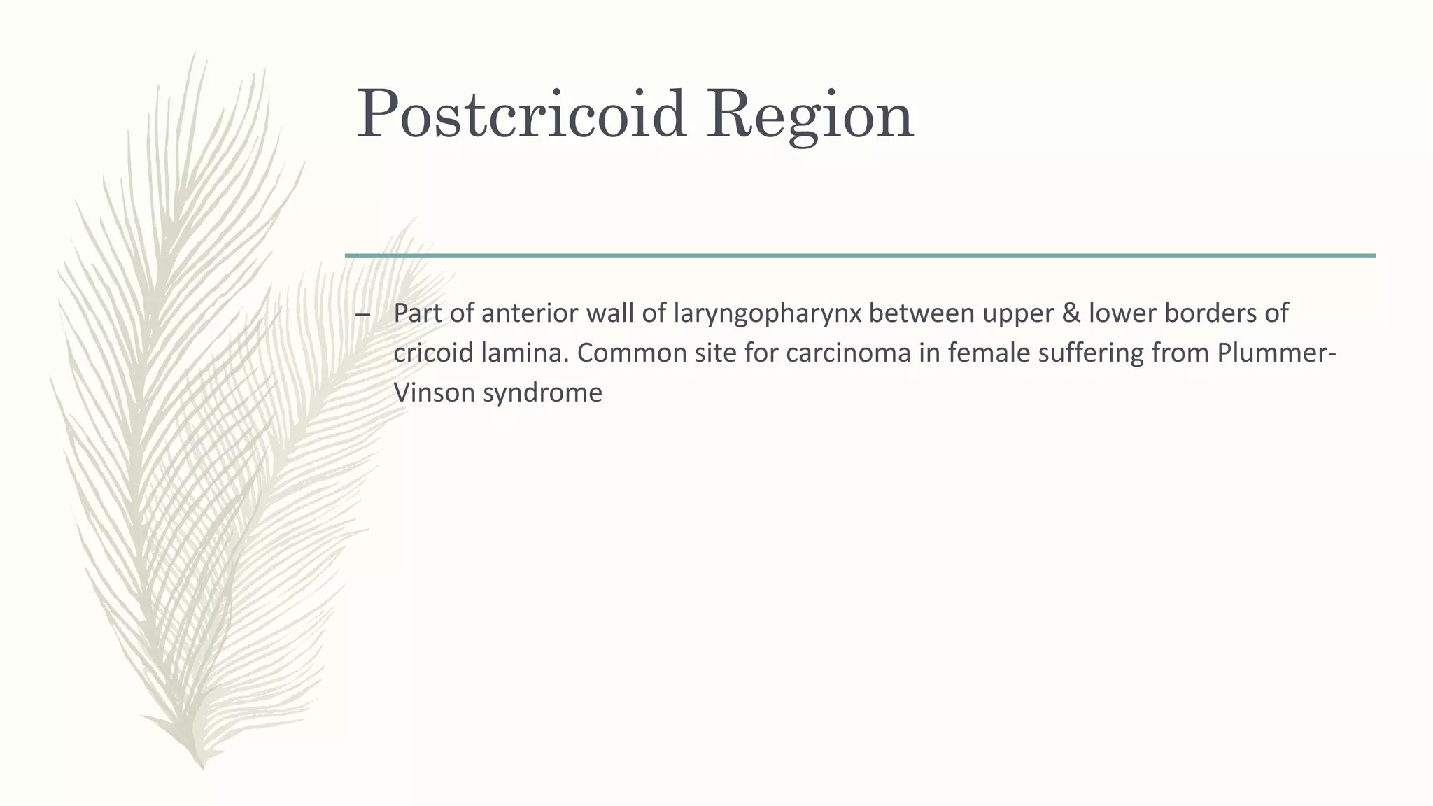 Anatomy of pharynx | PPTX