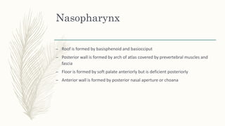 Anatomy of pharynx | PPTX