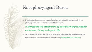 Anatomy of pharynx | PPTX