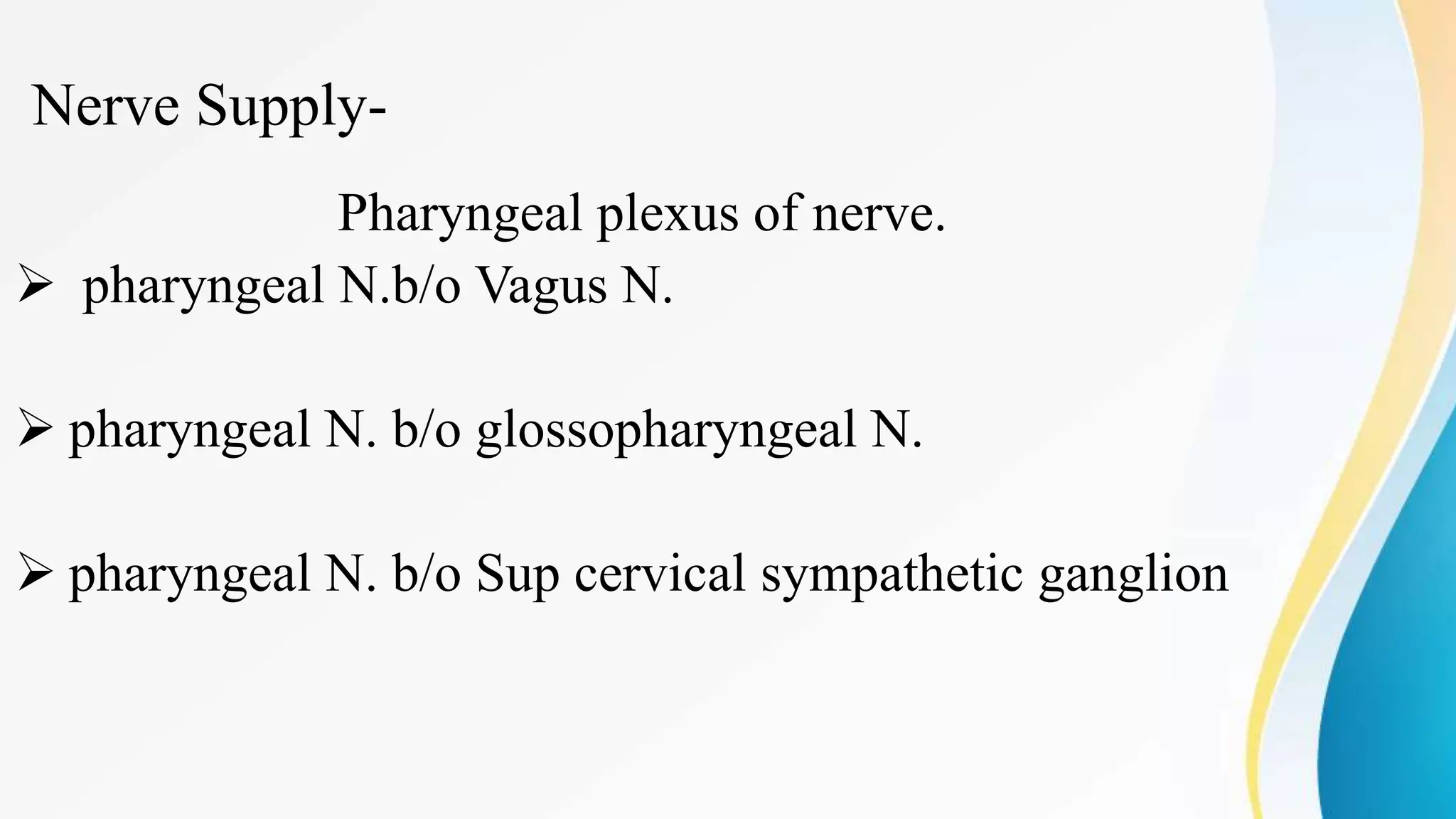 Anatomy of pharynx | PPTX