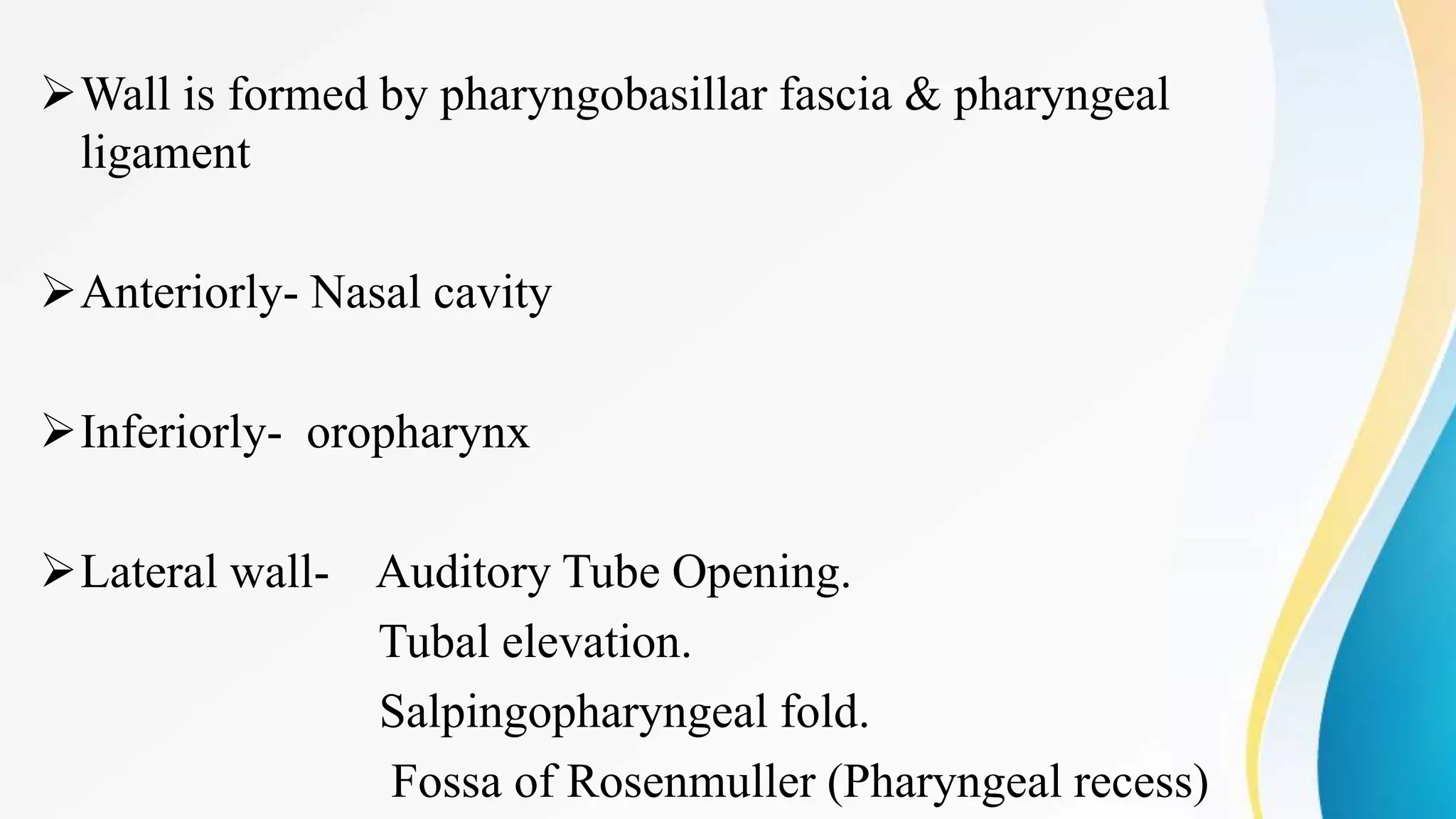 Anatomy of pharynx | PPTX