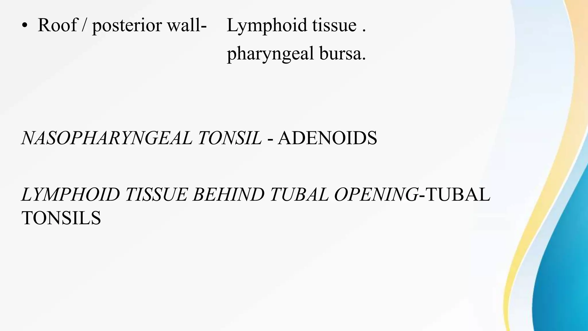 Anatomy of pharynx | PPTX